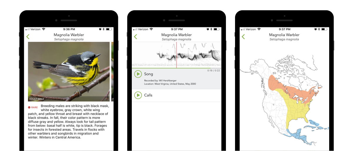 Common Raven (Northern Raven) - eBird