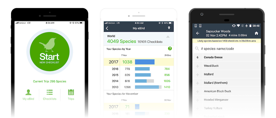 North Carolina Bird Atlas - Discover a new world of birding...