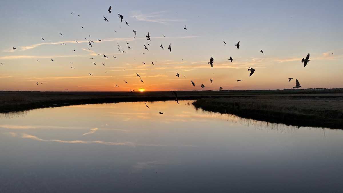 台北--樹林原住民主題部落公園(Taipei--Shulin Aboriginal Tribal Theme Park), TPQ, TW ...