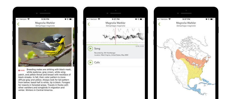 Club-winged Manakin - eBird