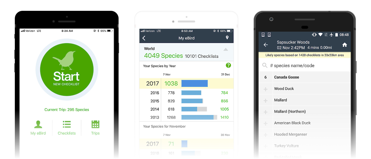 eBird - Discover a new world of birding...