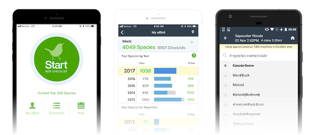 eBird - Discover a new world of birding...